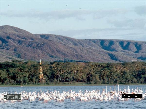 Hippo Point Wildlife Sanctuary in Naivasha Kenya